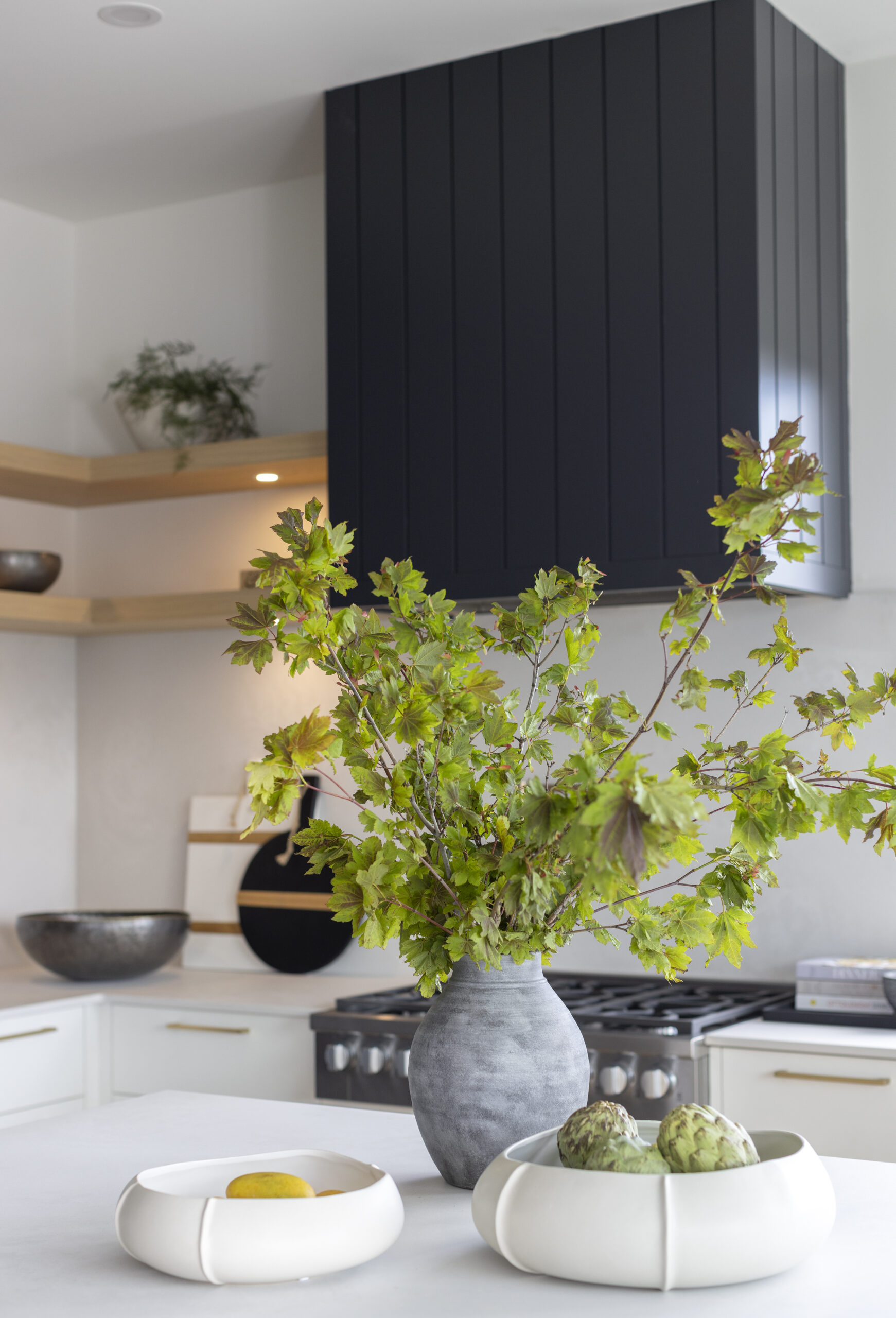 Braeside Residence - Synthesis Design